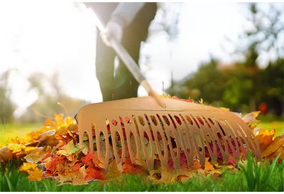 6 Leaf-Raking Tips to Make Fall Cleanup So Much Easier!